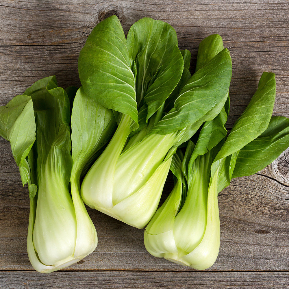 Caramelized Allium Pak Choy – Revival Roots Nursery